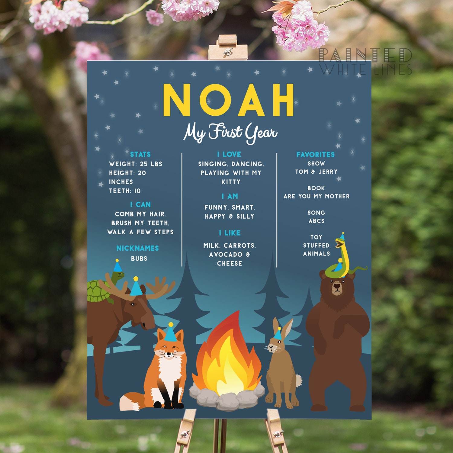 Campfire Birthday Activity Sheet Editable Printable Any Occasion Corjl ...