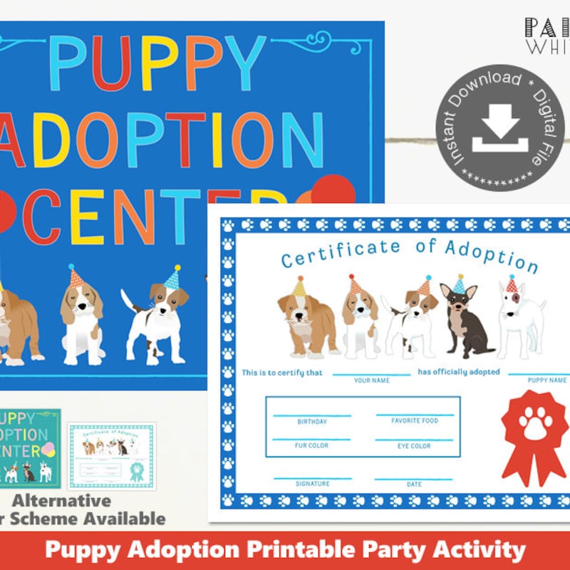 Adoption Certificate Kids - Etsy