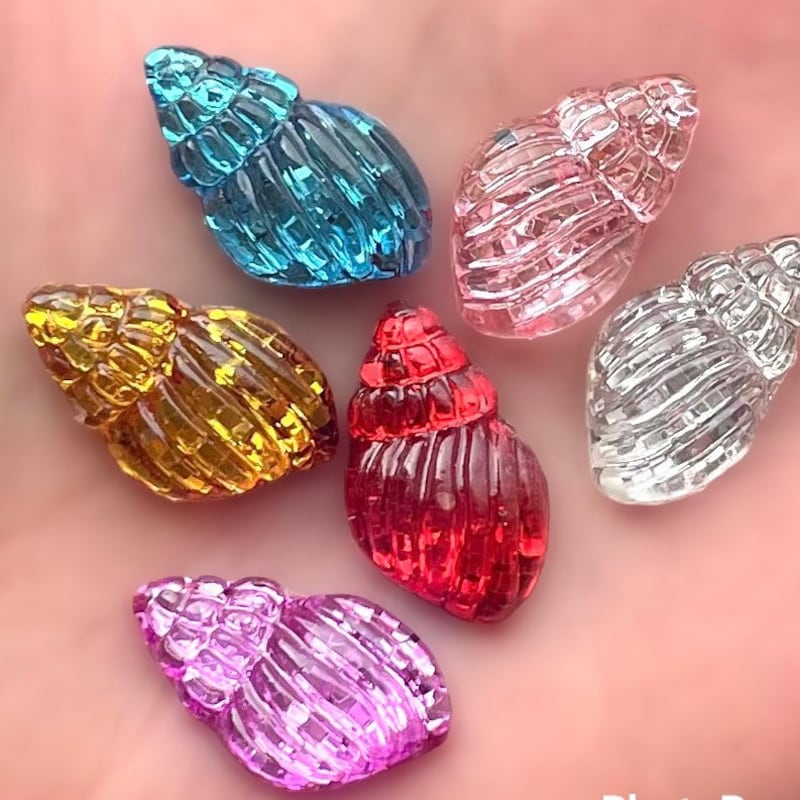 Flat Spiral Shells - Etsy