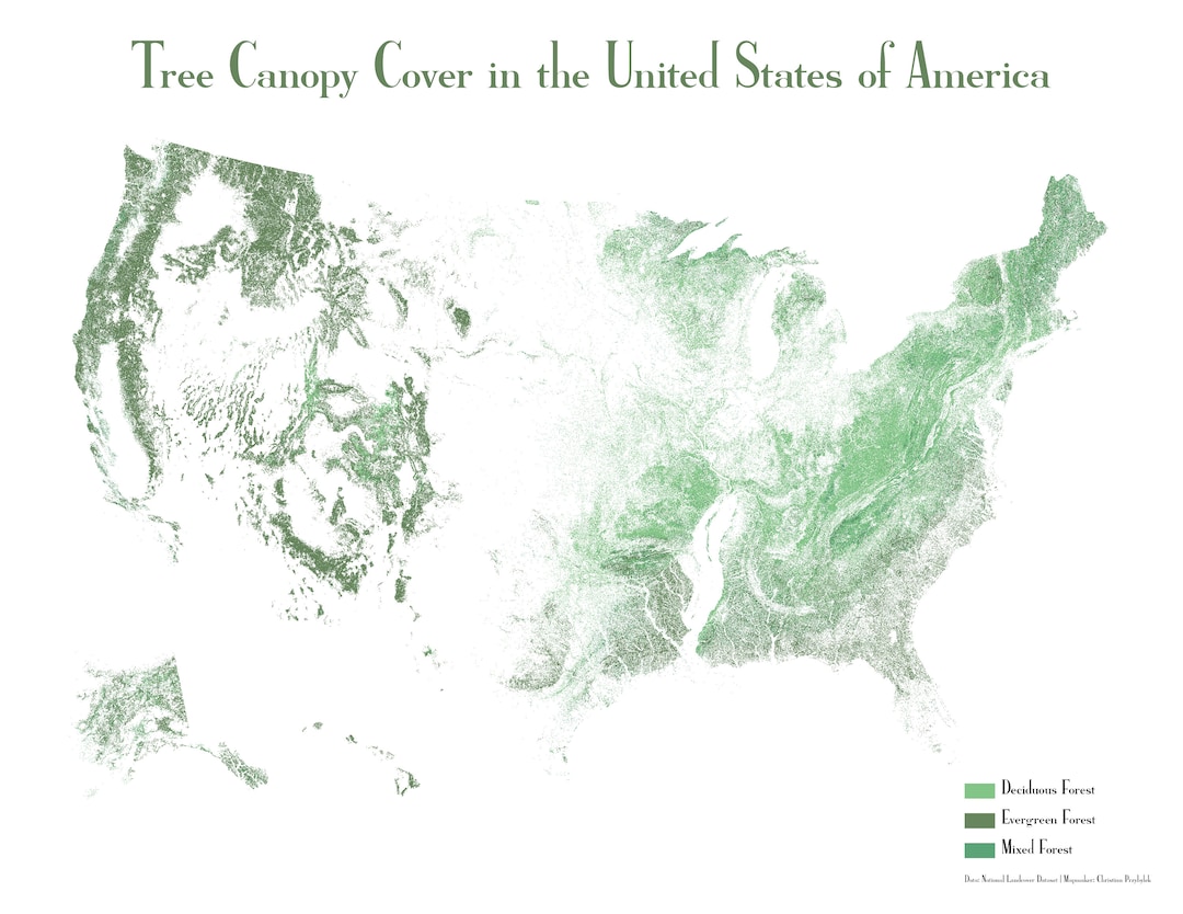 United States Tree Cover Map Poster - Etsy