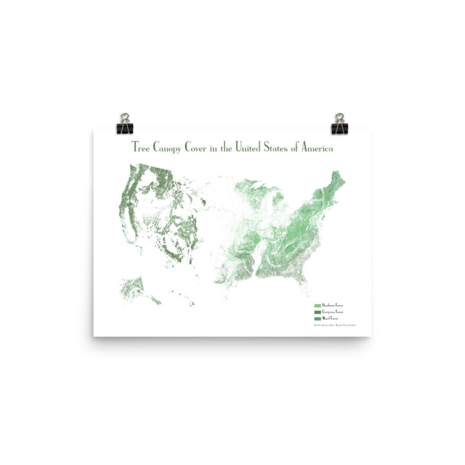 United States Tree Cover Map Poster - Etsy