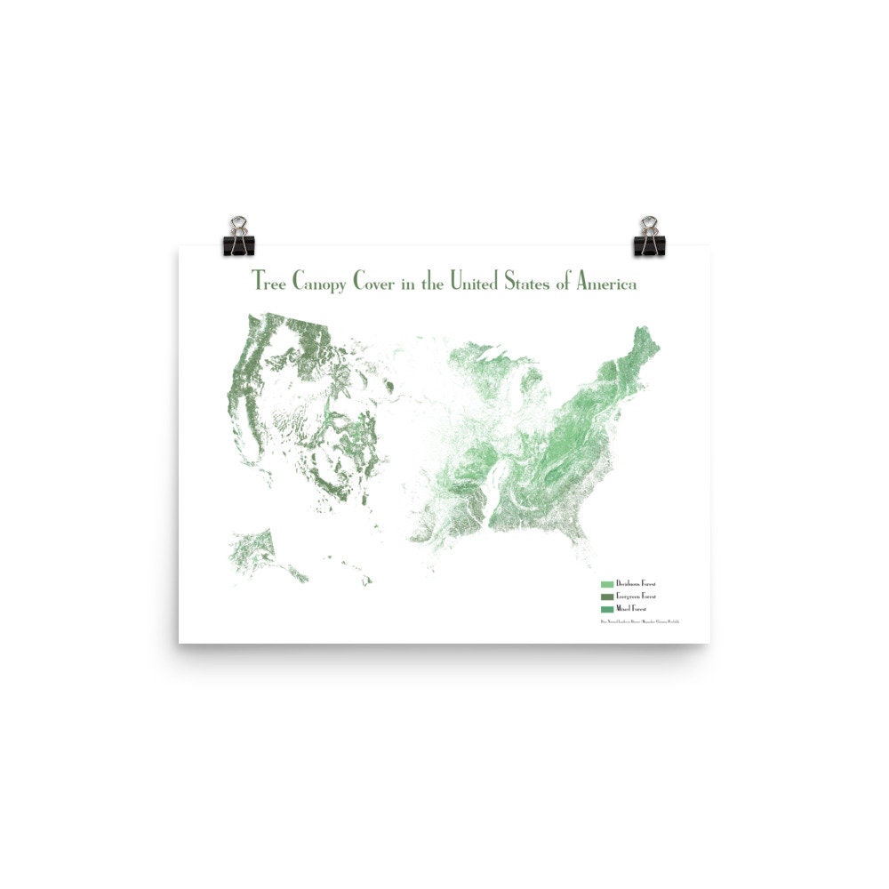 United States Tree Cover Map Poster - Etsy