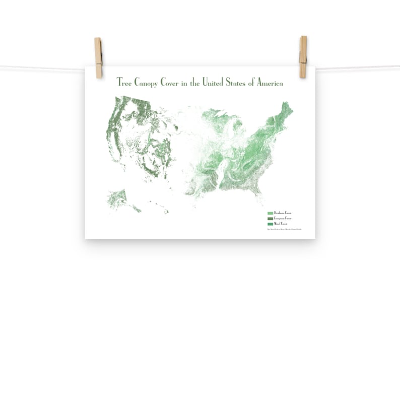 United States Tree Cover Map Poster - Etsy