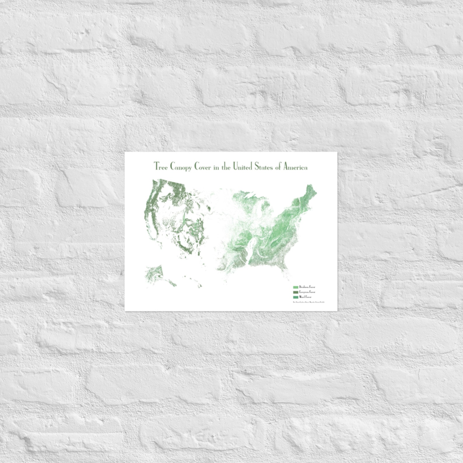 United States Tree Cover Map Poster - Etsy