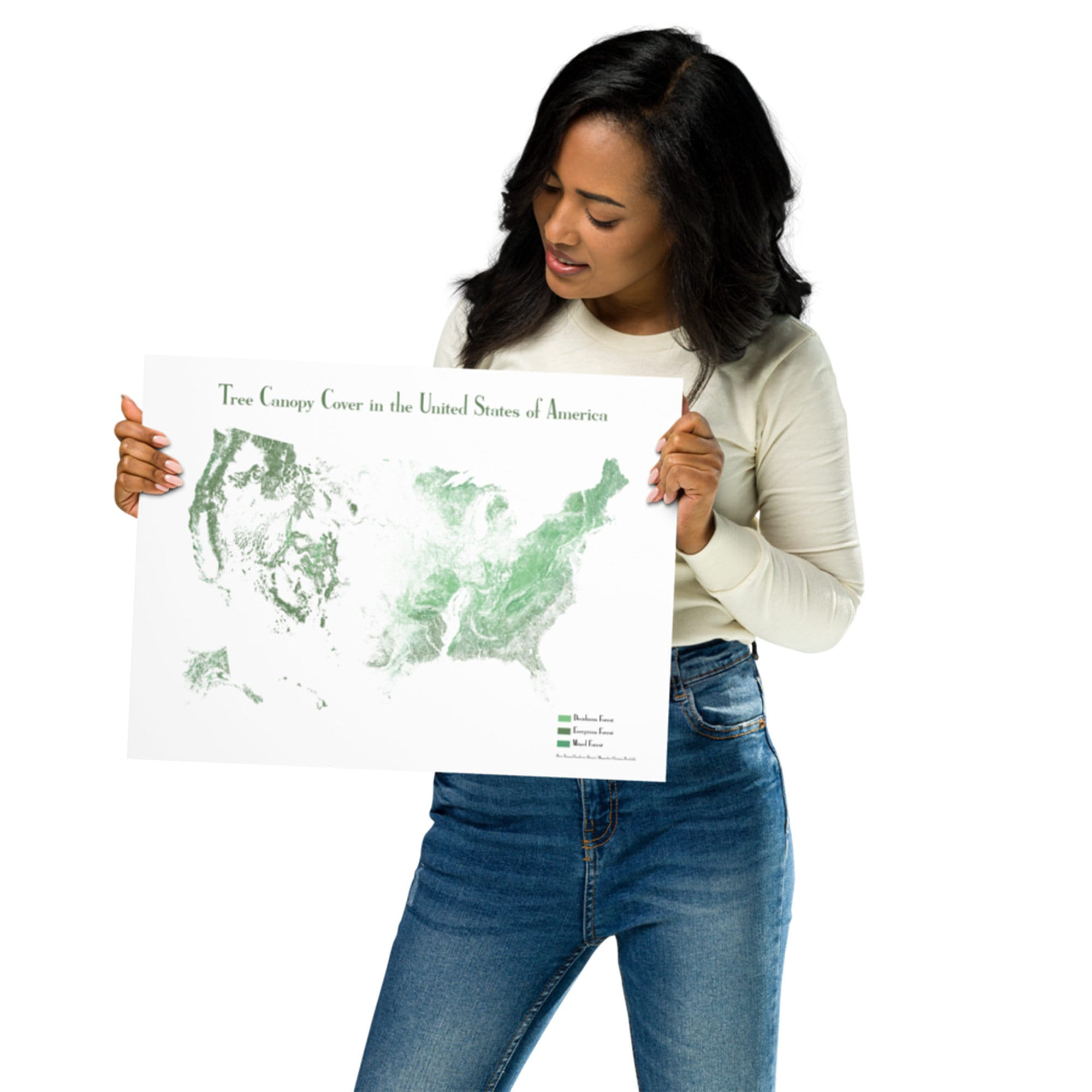United States Tree Cover Map Poster - Etsy