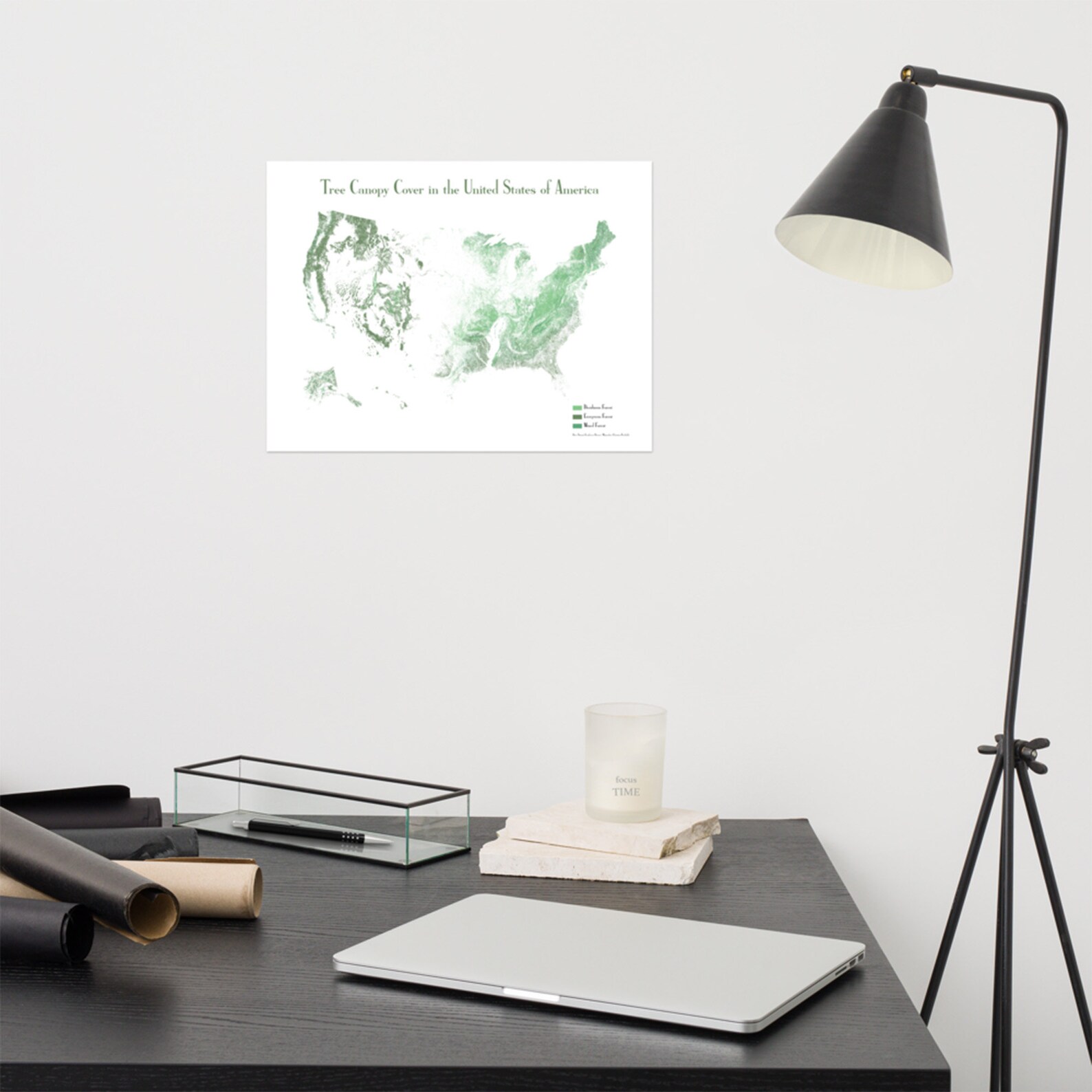United States Tree Cover Map Poster - Etsy