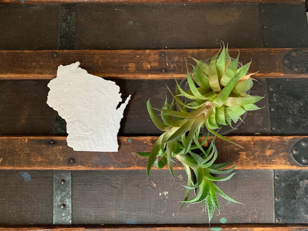 3D Printed Topographic Map of Wisconsin - Wisconsin Map - Map Art ...