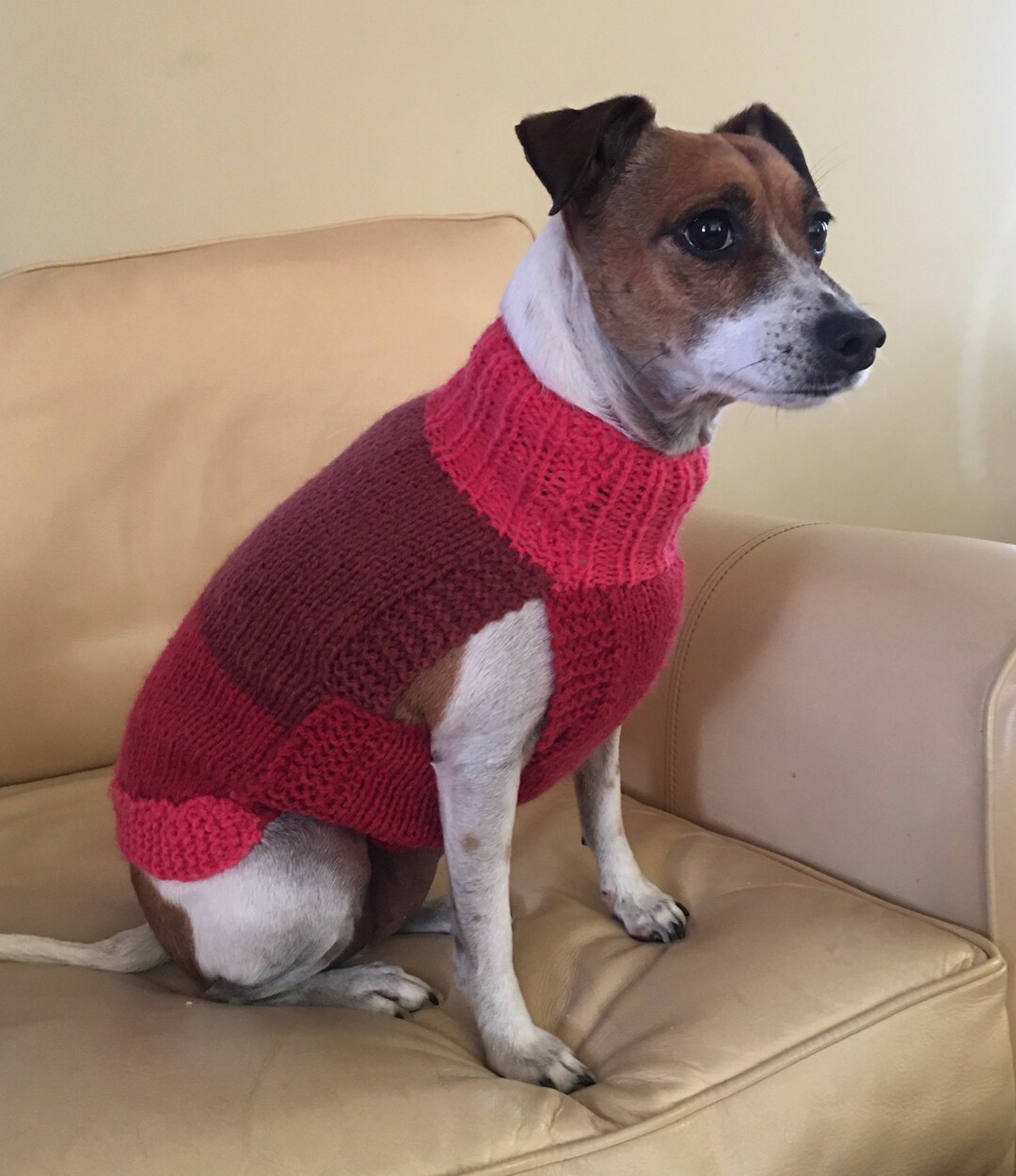 Dog Jumper Handknitted in UK | Size Small | Ready to Post | Suits Jack ...