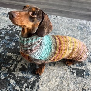 Made to Order Miniature Dachshund Dog Jumper | for Mini Daxi Mini Doxi ...