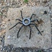 Scrap Iron Spider - Etsy