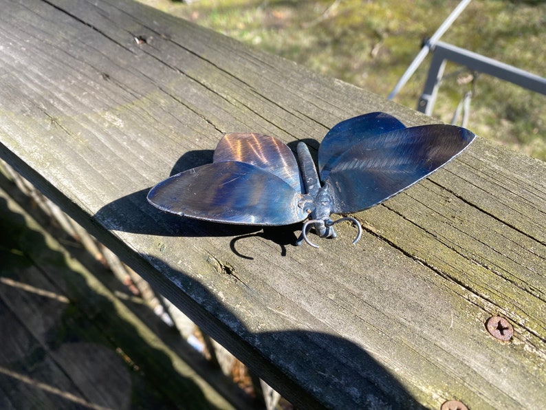 Iron Moth - Etsy