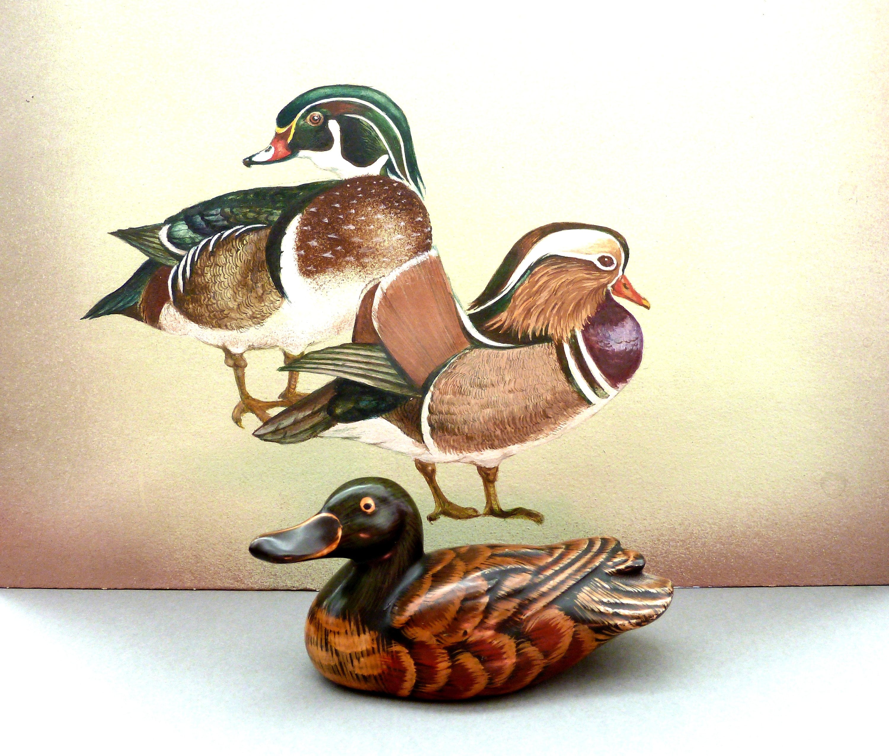 Ceramic Duck Small Collectible Duck Small Ceramic Duck - Etsy