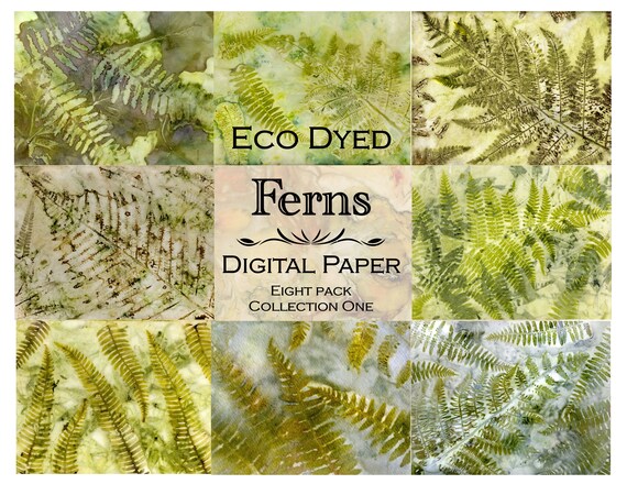 Fern Eco Dyed Paper Eco Boiled Paper Eco Printing Eco | Etsy