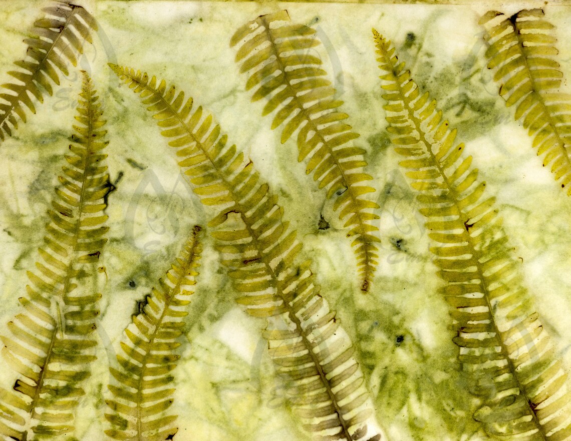 Fern eco dyed paper eco boiled paper eco printing eco | Etsy