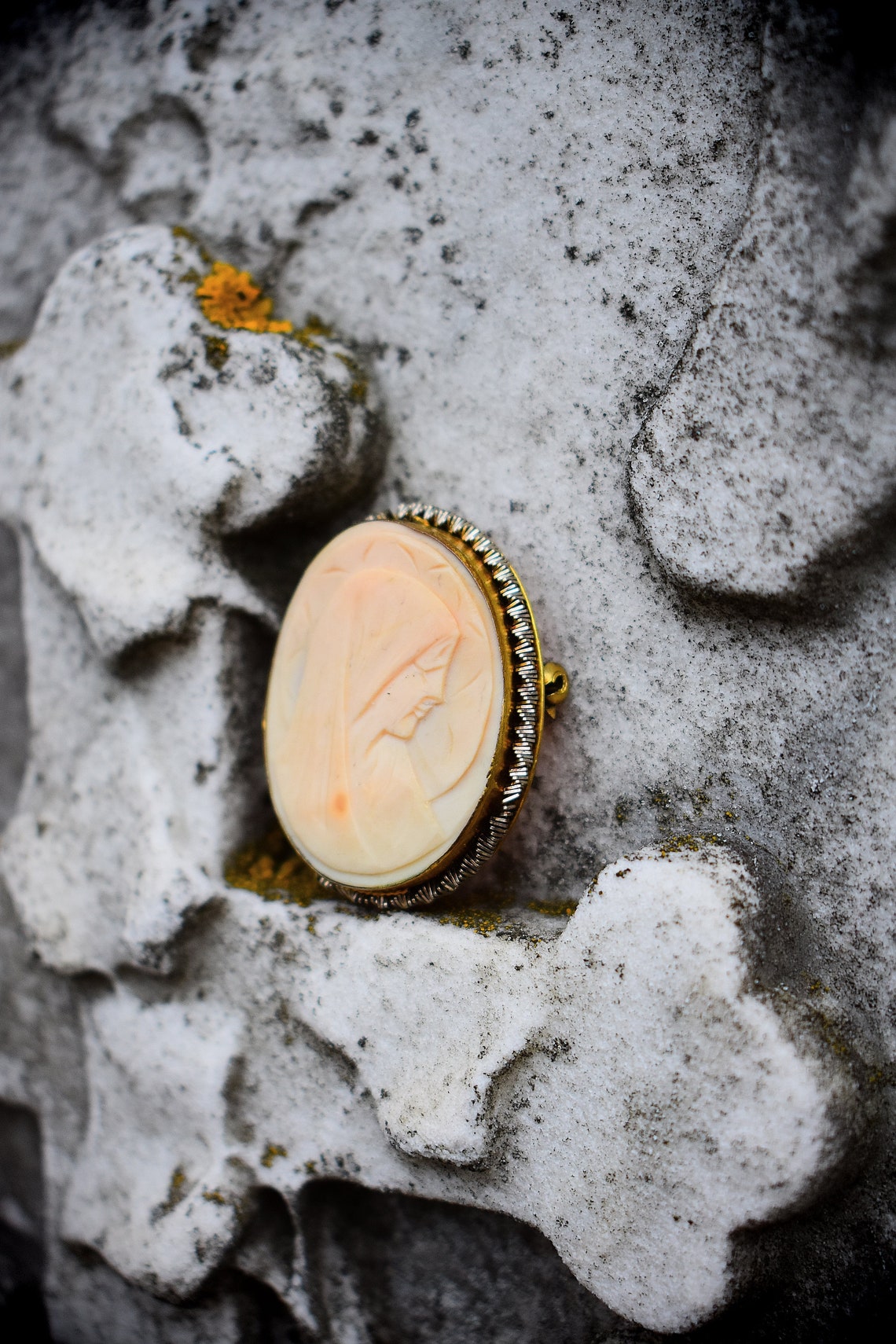 Antique Blessed Virgin Mary Shell Gold Brooch - Etsy