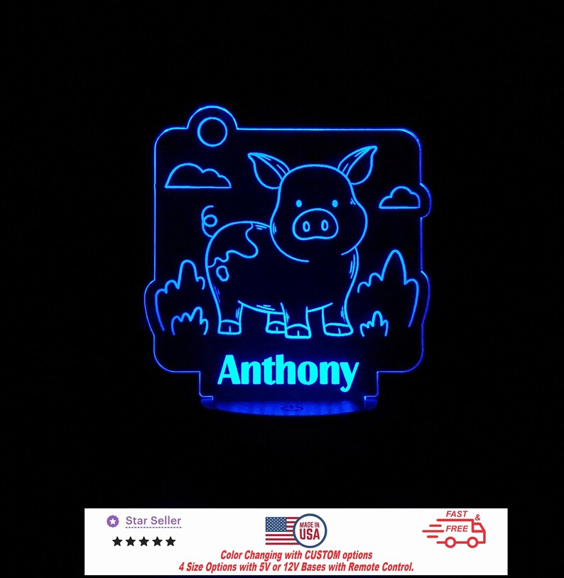 Personalized Baby Pig LED Night Light – Custom Nursery Decor - Etsy