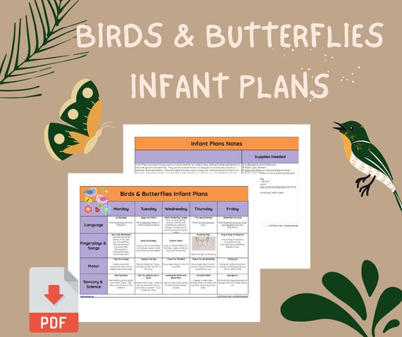 Birds and Butterflies Printable Infant Lesson Plans for Baby - Etsy