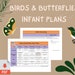 Birds and Butterflies Printable Infant Lesson Plans for Baby - Learning ...