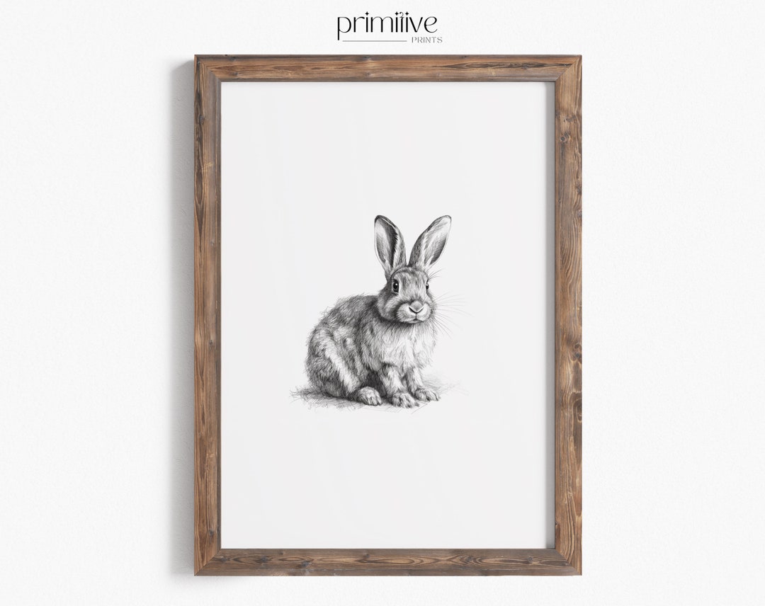Rabbit Sketch Bunny Print PRINTABLE Wall Art Animal Digital Artwork ...