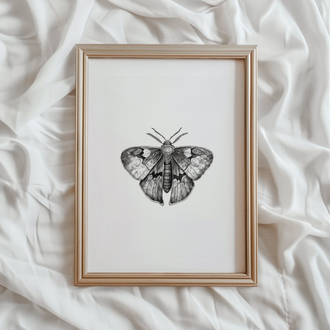 Moth Print PRINTABLE Wall Art Insect Sketch Dark Academia Digital ...