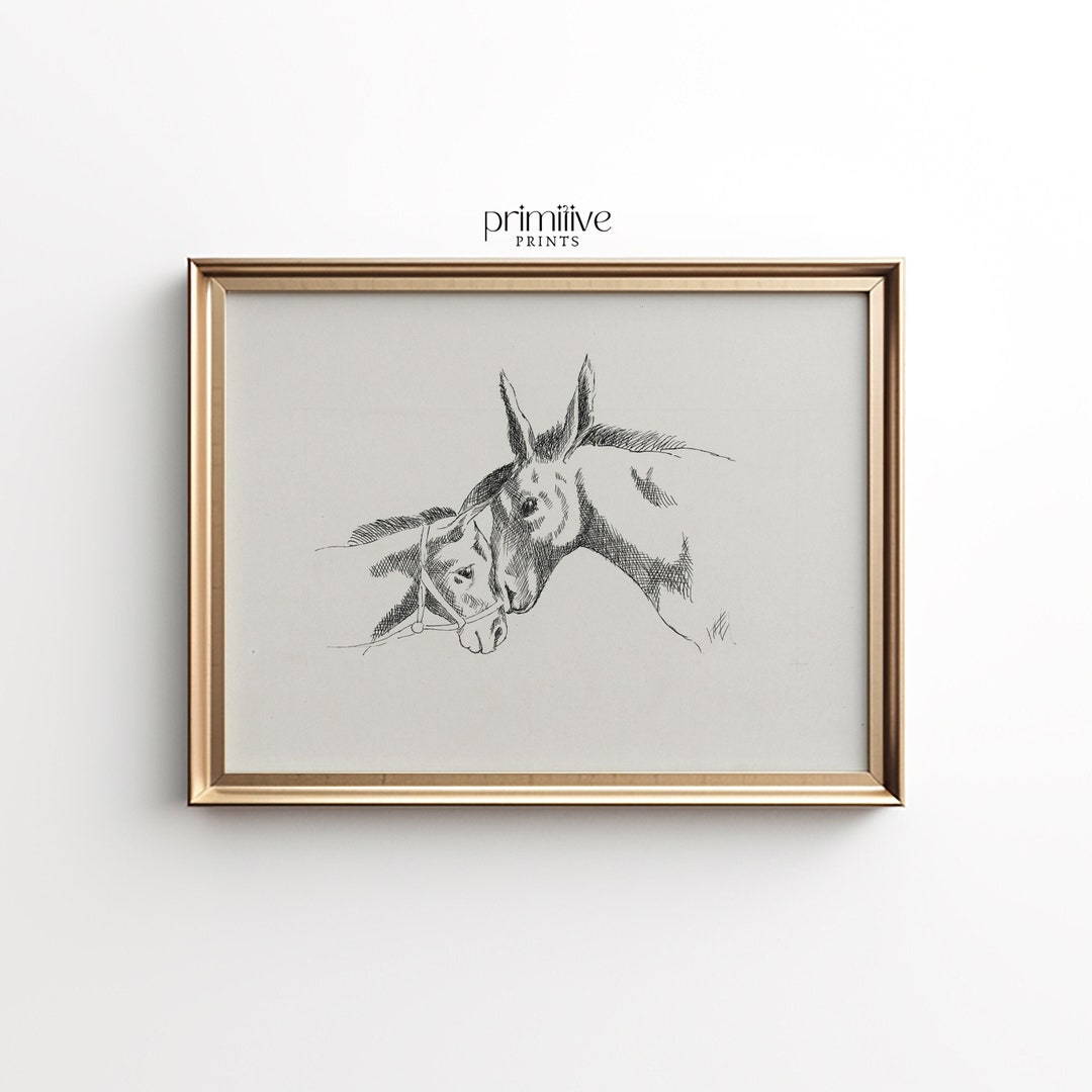Donkey Print Farmhouse PRINTABLE Art Nursery Animal Sketch Donkey and ...