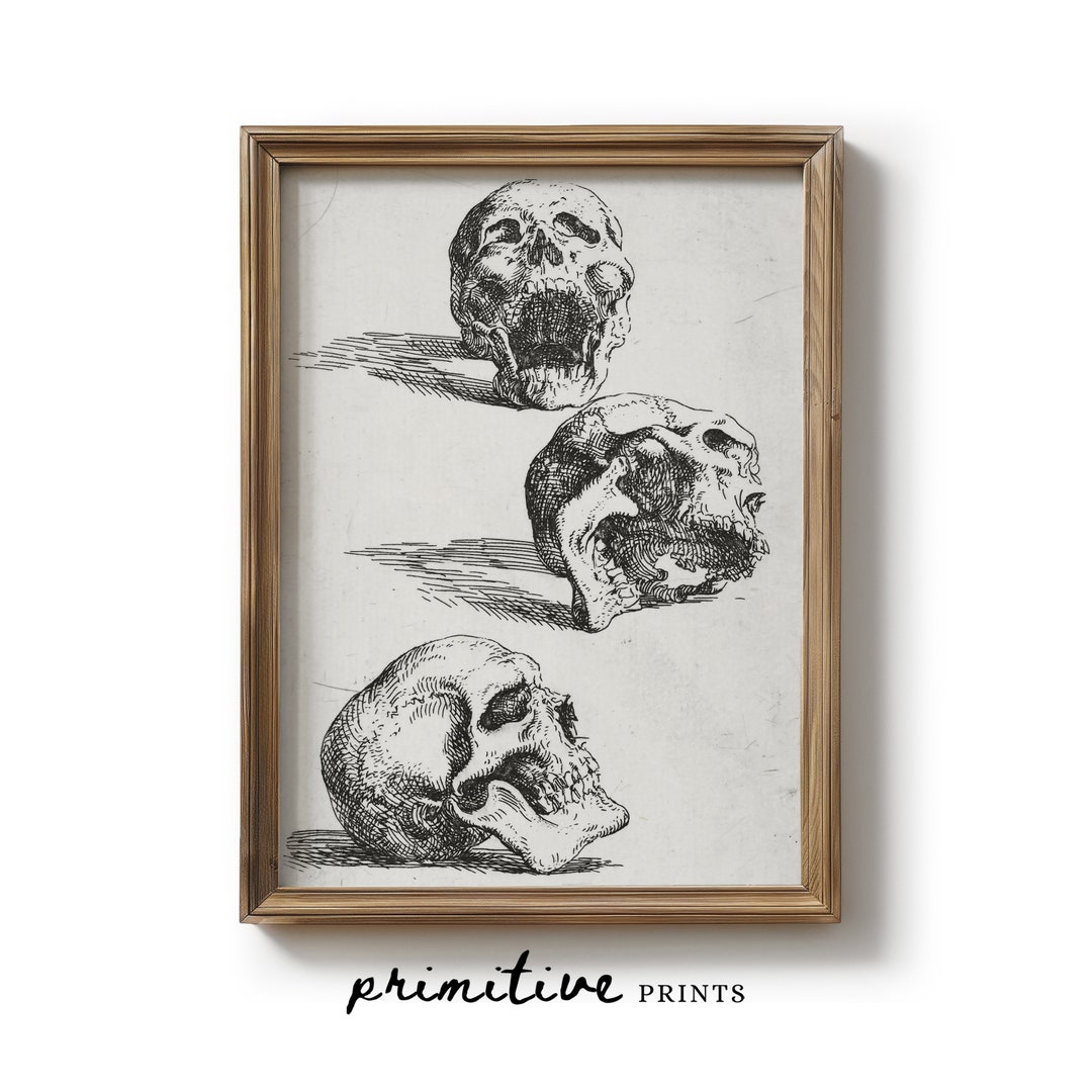 Skeleton Art Sketch | Digital PRINTABLE Wall Art | Vintage Skeletal Ink ...