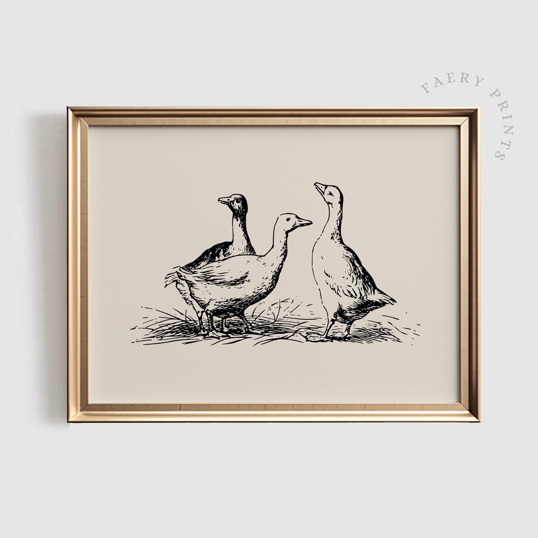 Goose Sketch Print | Vintage PRINTABLE Wall Art | Vintage Nursery Wall ...