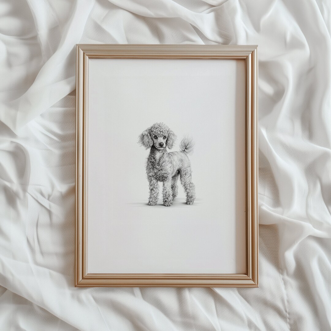 Miniature Poodle Dog Sketch Print | Dog PRINTABLE Wall Art | Pet ...