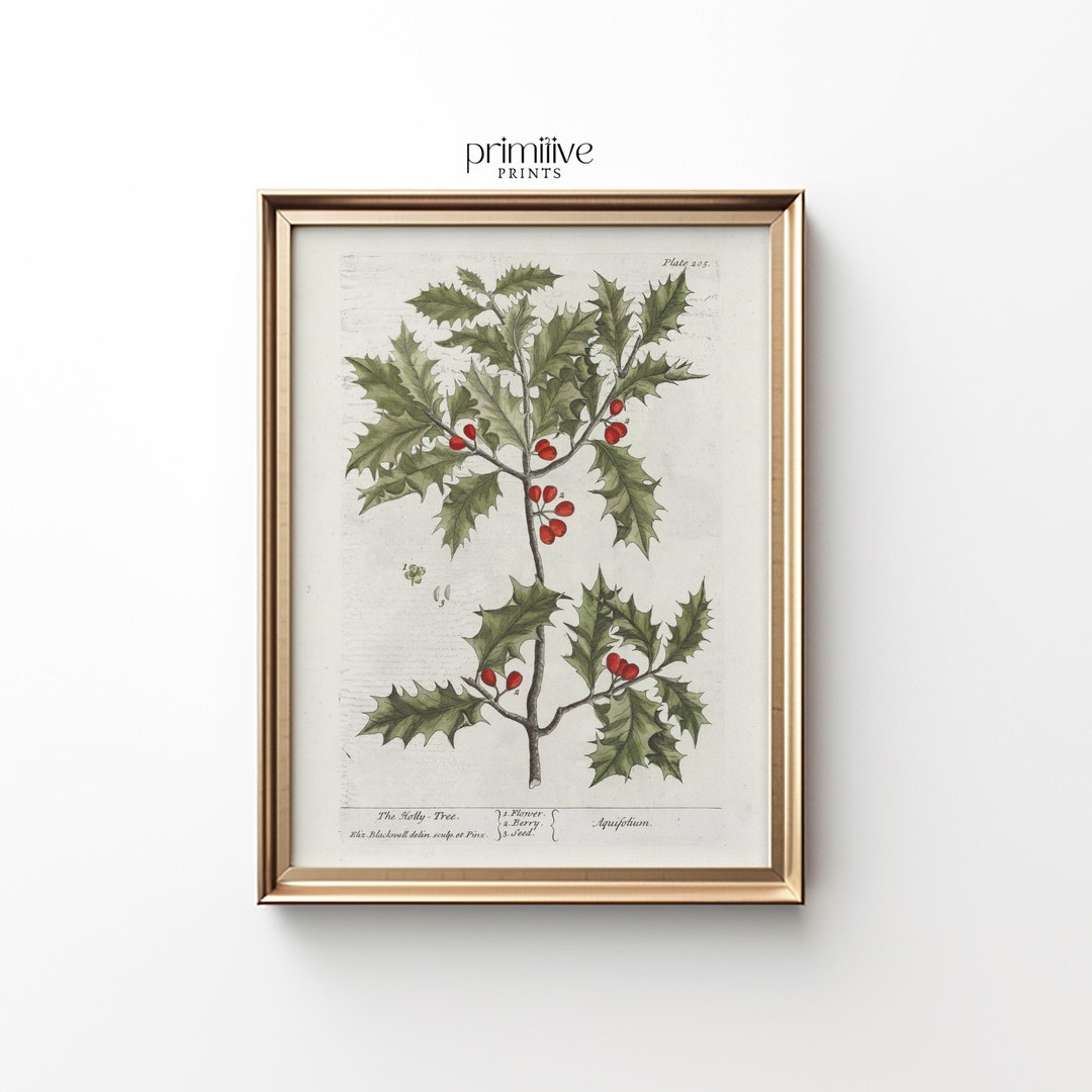 Holly Tree Illustration PRINTABLE Wall Art Vintage Holiday Wall Art ...