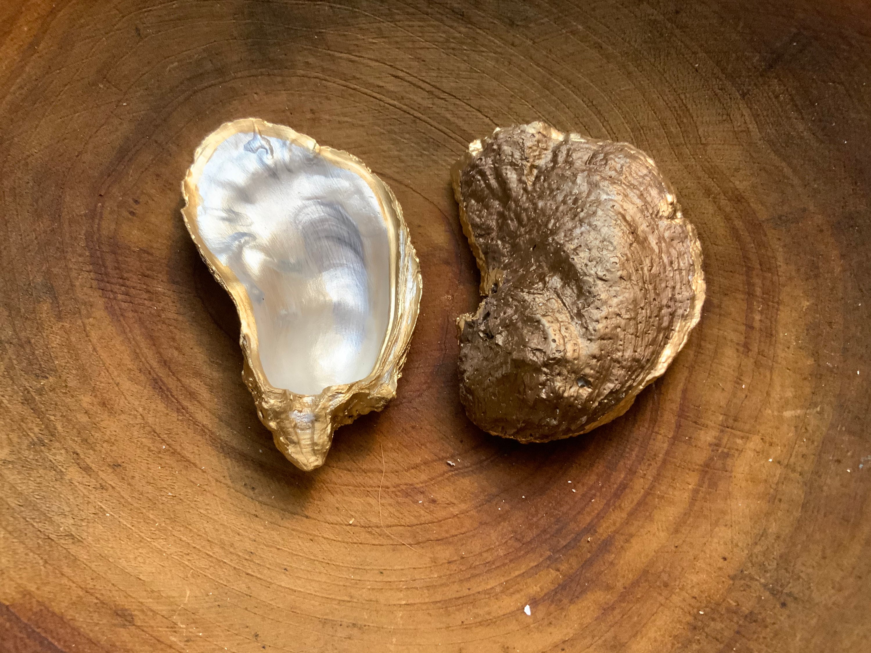 STUNNING Set of 10 Hand Painted Metallic Oyster Shells for Home Decor ...