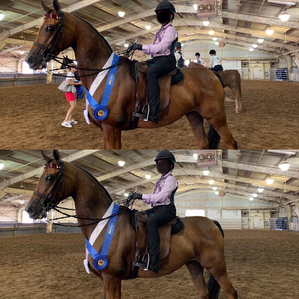 Personalized Show Ribbon Display | Etsy