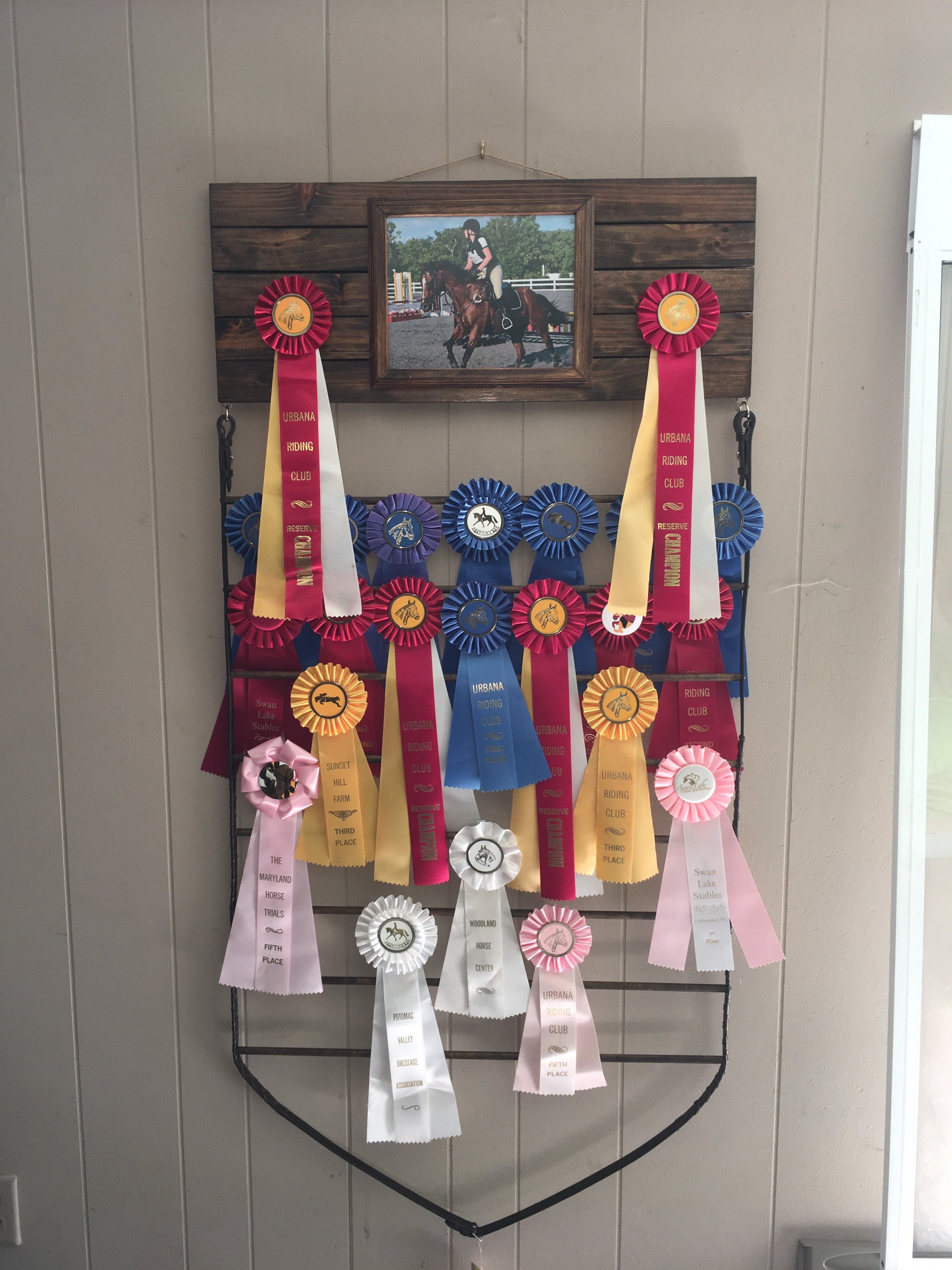 Horse/dog Show Ribbon Display. - Etsy
