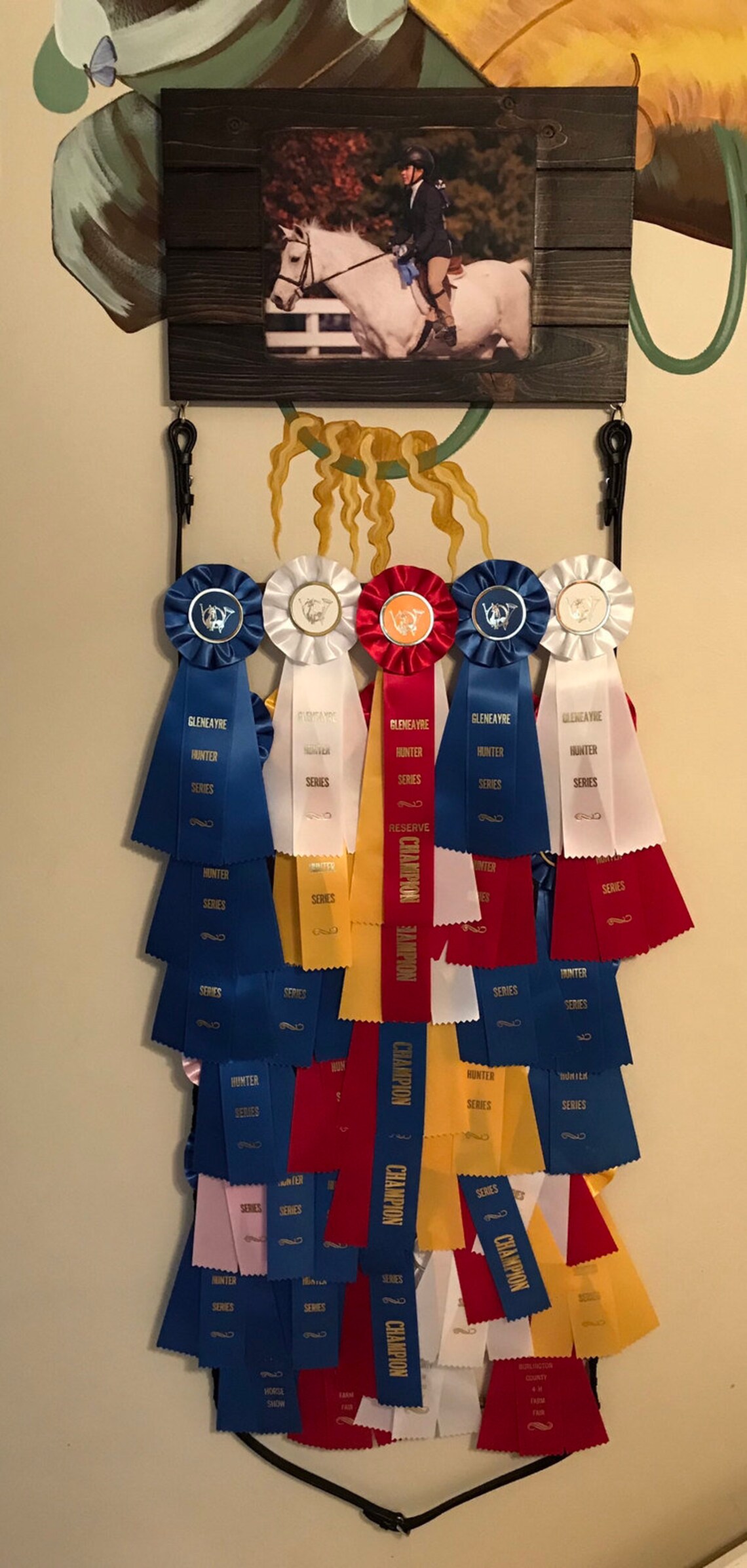 Personalized Show Ribbon Display | Etsy