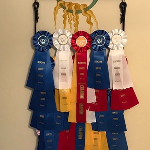 Personalized Show Ribbon Display - Etsy