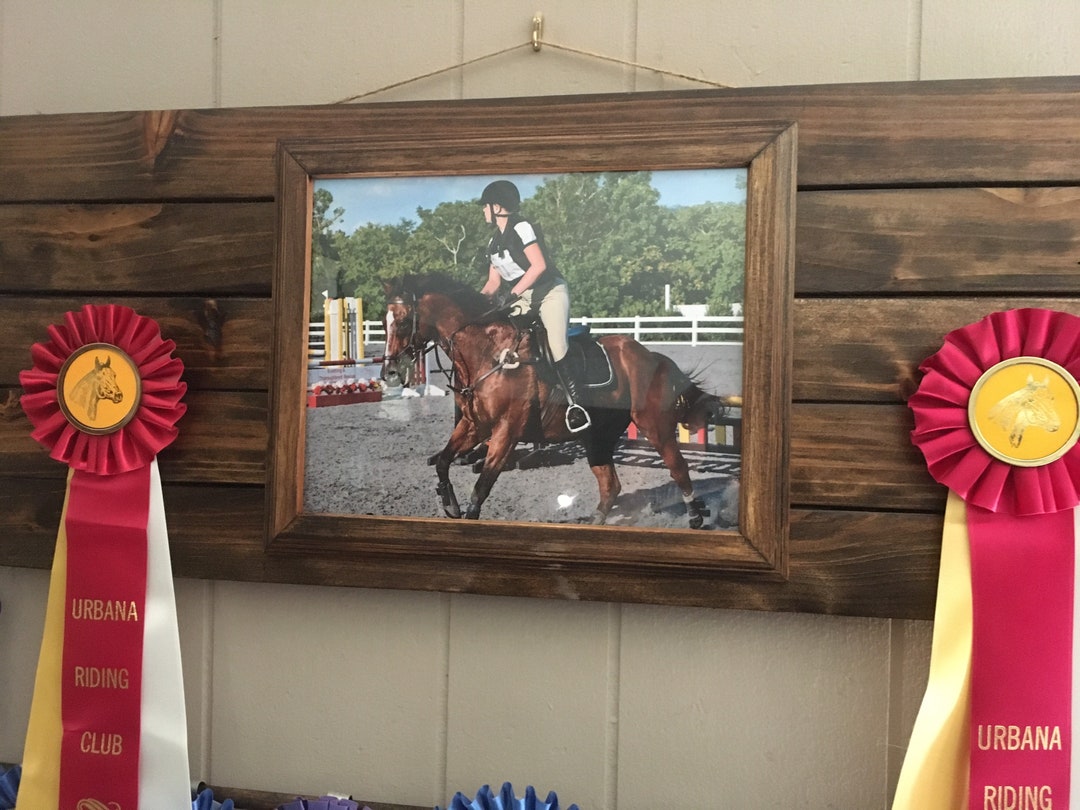 Horse/dog Show Ribbon Display. - Etsy