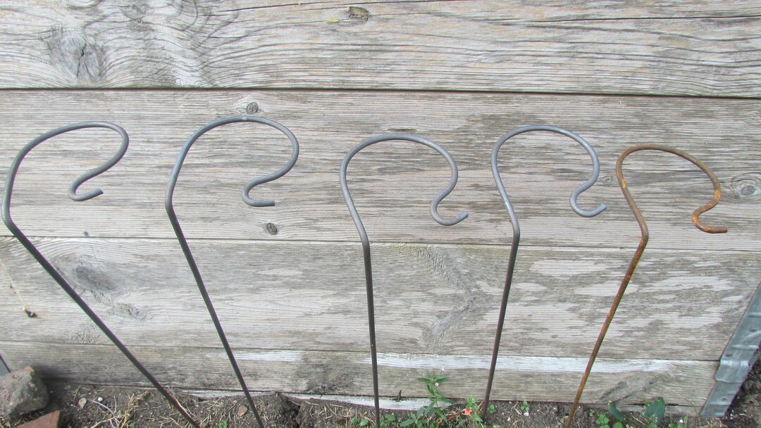 10 Plant Support Single Plant Flower Stem Gardening Supports Natural ...