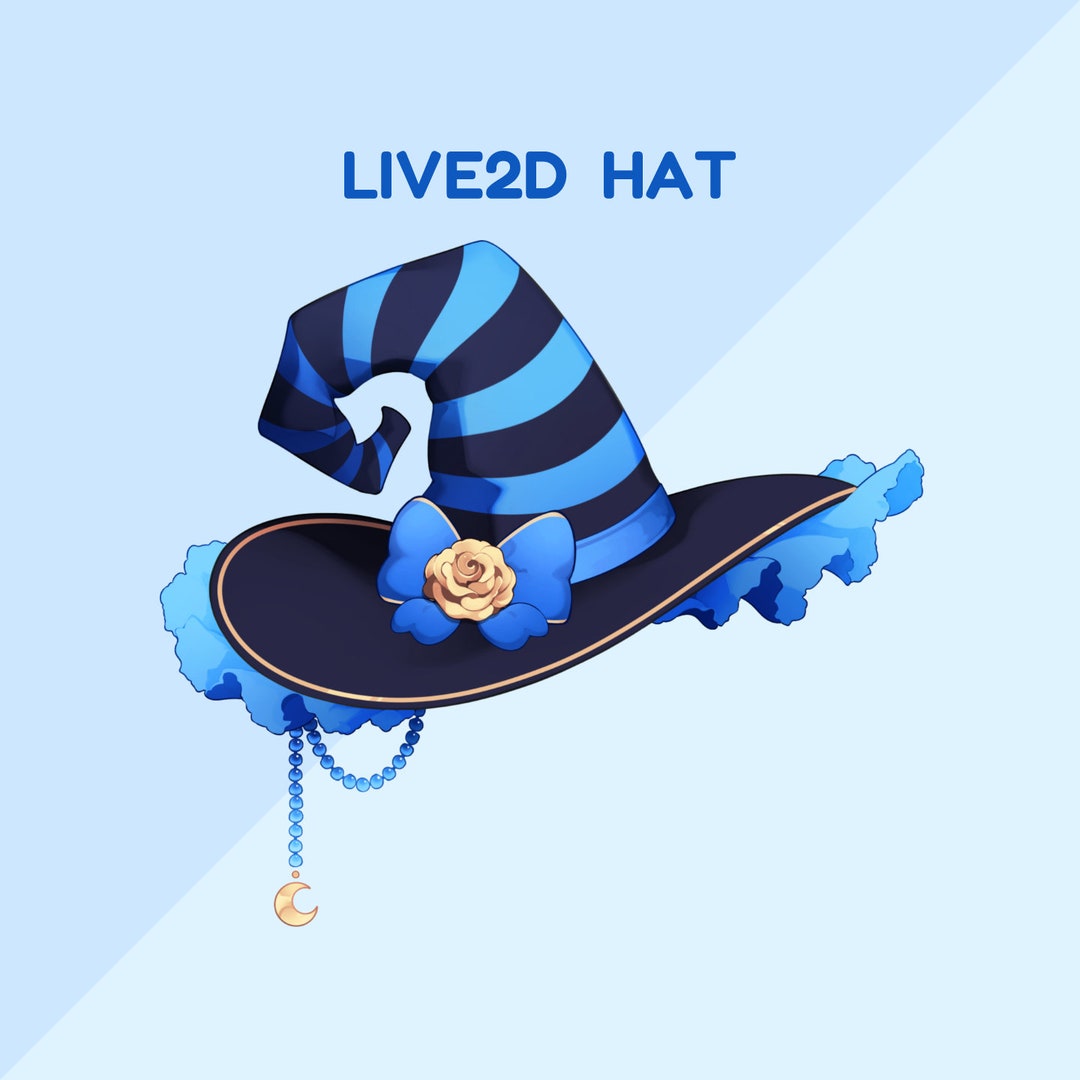 Rigged Vtuber Witch Hat Halloween Costume Necromancer - Etsy