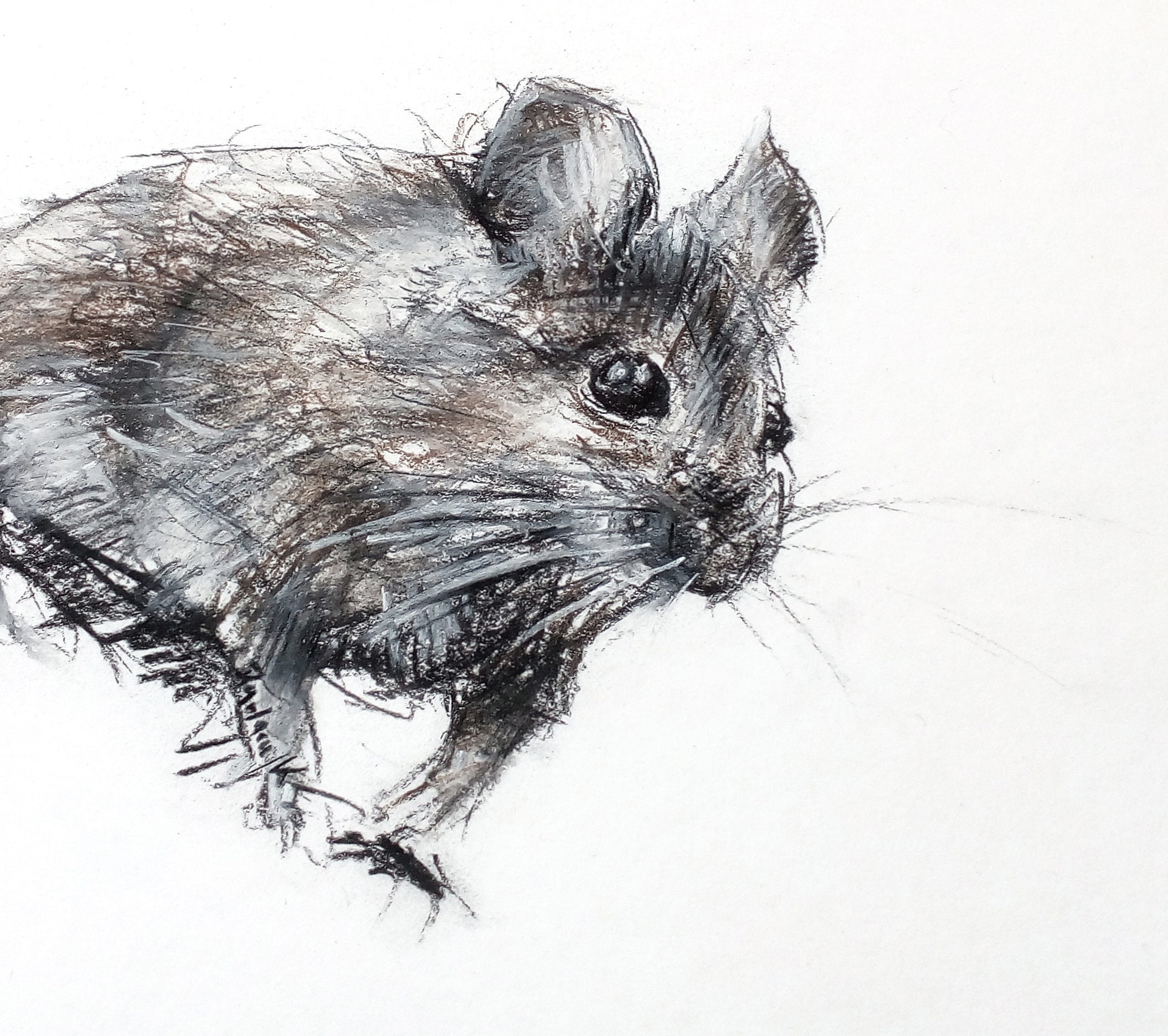 Original Drawing Mouse Drawing Original Sketch of Mouse - Etsy