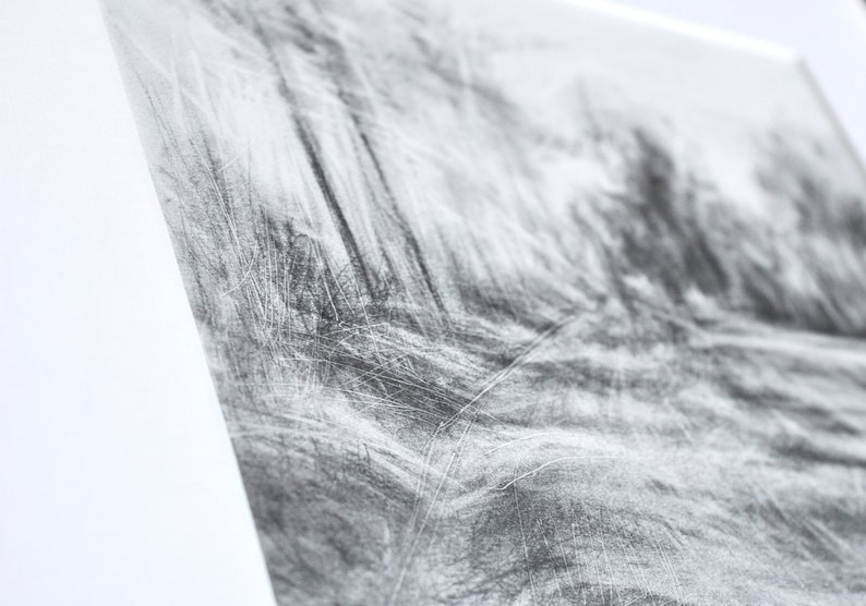 Original Drawing, Forest Drawing, Charcoal Drawing, Graphite Drawing ...