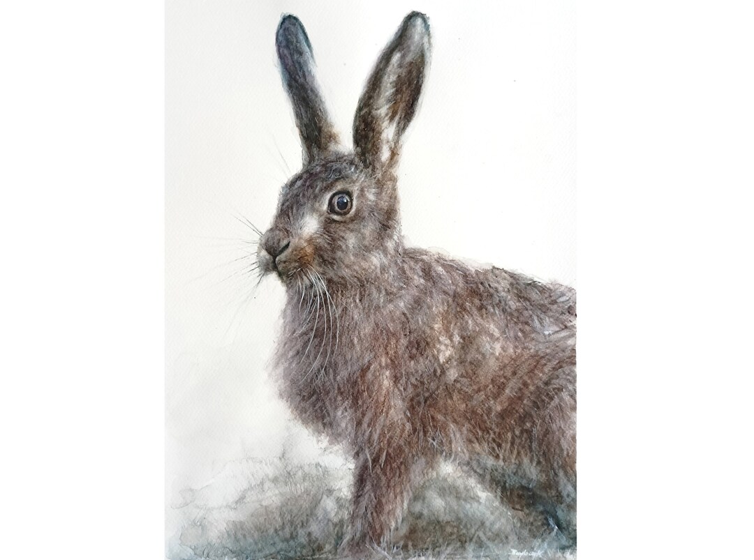 Hare Watercolor, Hare Painting, Original Watercolor, Hare Portrait ...