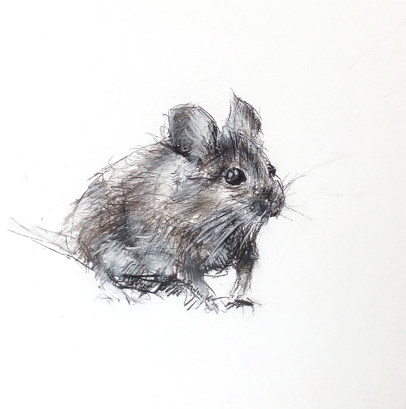 Original Drawing Mouse Drawing Original Sketch of Mouse - Etsy