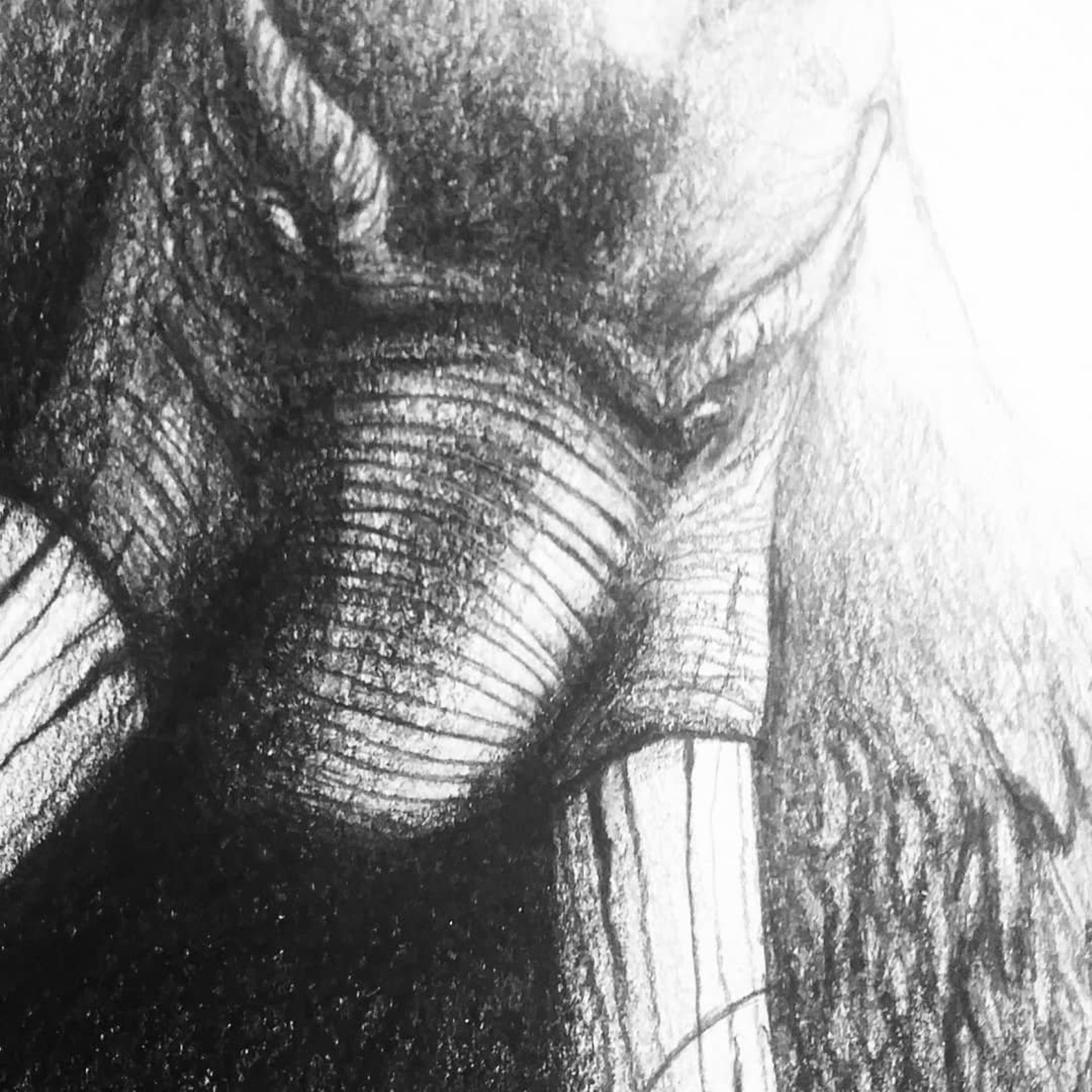 Godzilla: King Of The Monsters Behemoth Original Drawing | Etsy