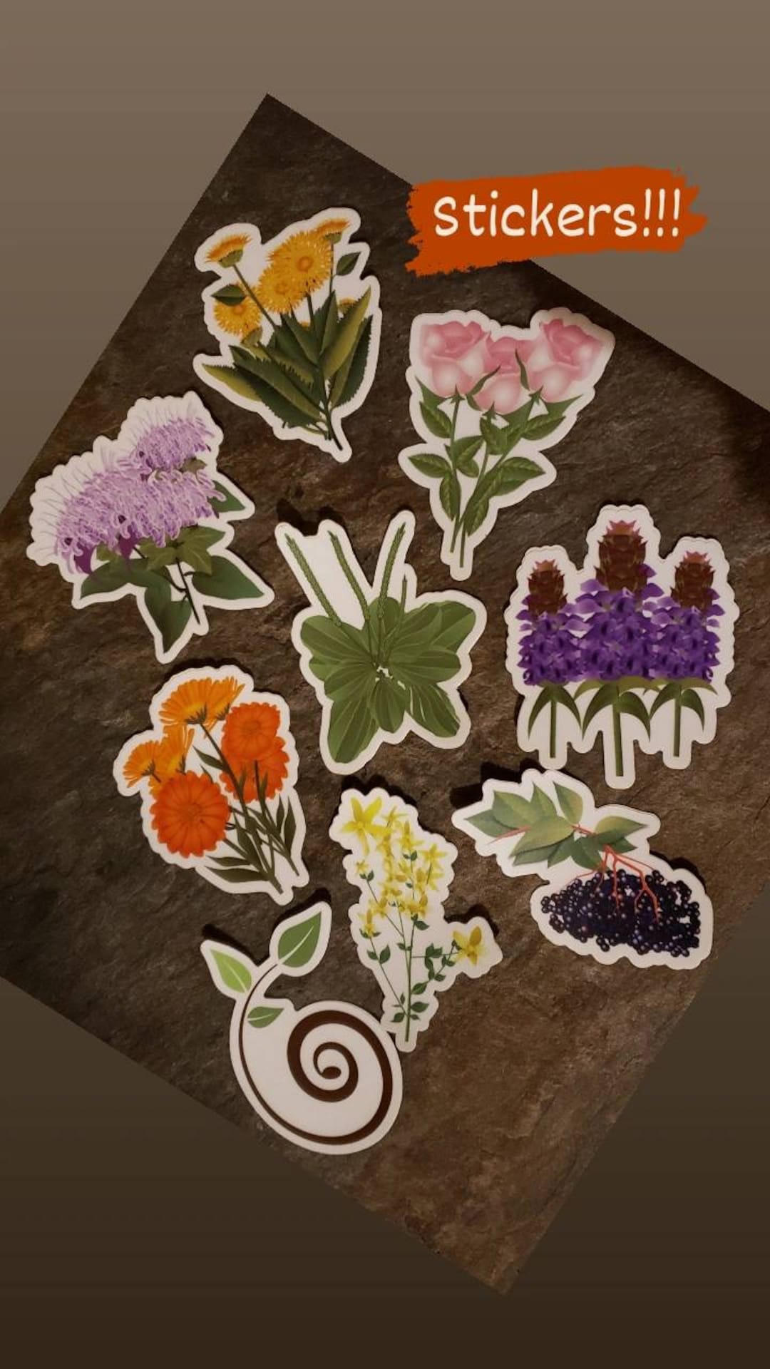 Herbal Stickers, Plant Stickers, Flower Stickers, Plantain, Rose, Heal ...