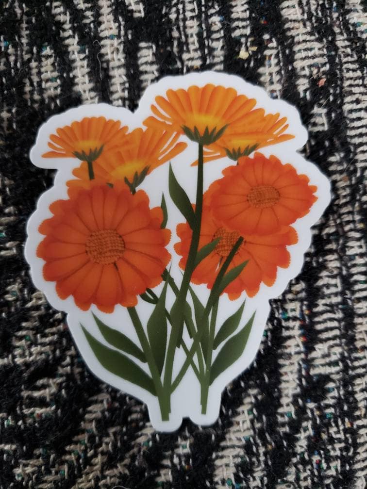 Herbal Stickers, Plant Stickers, Flower Stickers, Plantain, Rose, Heal ...