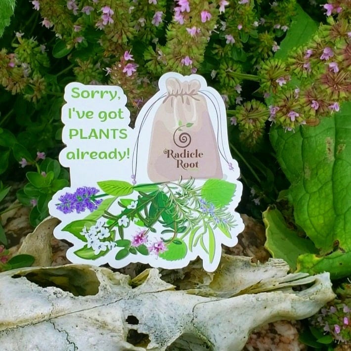 Herbal Stickers Plant Stickers Flower Stickers Plantain - Etsy