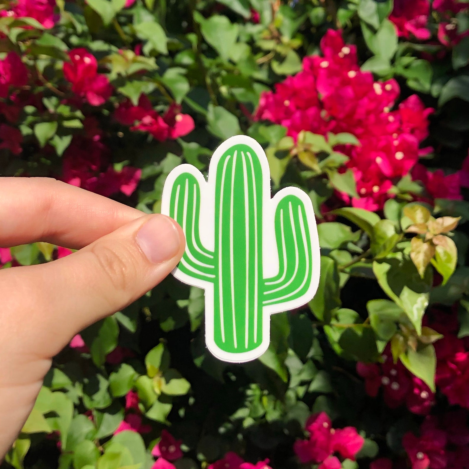 Cactus Sticker Cactus Cup Sticker Laptop Decal Trendy Water - Etsy