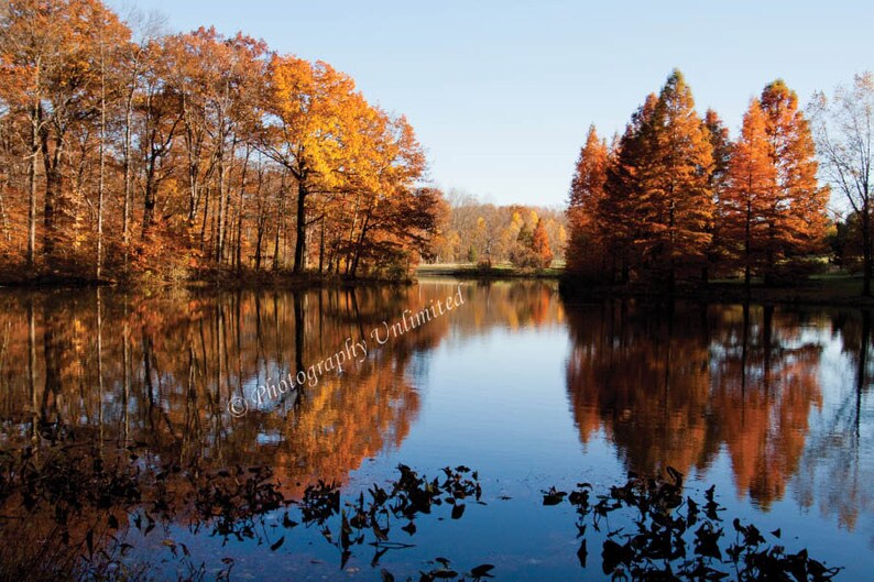 Pond, Reflection, Fine Art Photography, Water, Outdoor, Nature, Trees ...