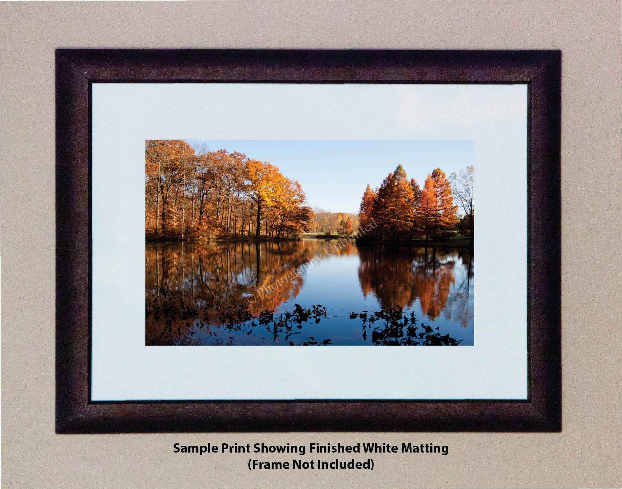 Pond, Reflection, Fine Art Photography, Water, Outdoor, Nature, Trees ...