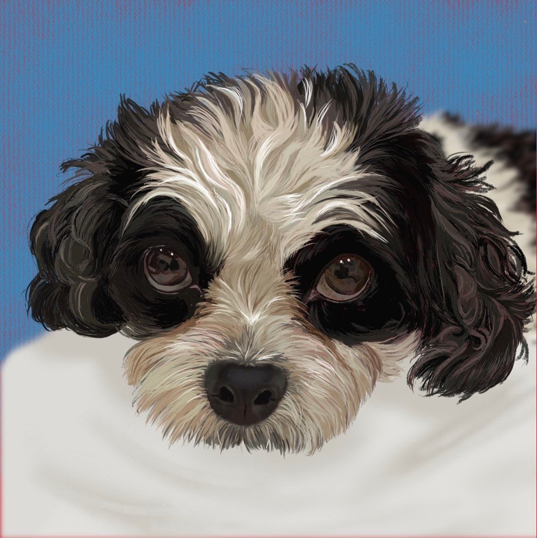 Pet Drawing DEPOSIT - Drawing Using Pet Photo, Personalized Portrait ...