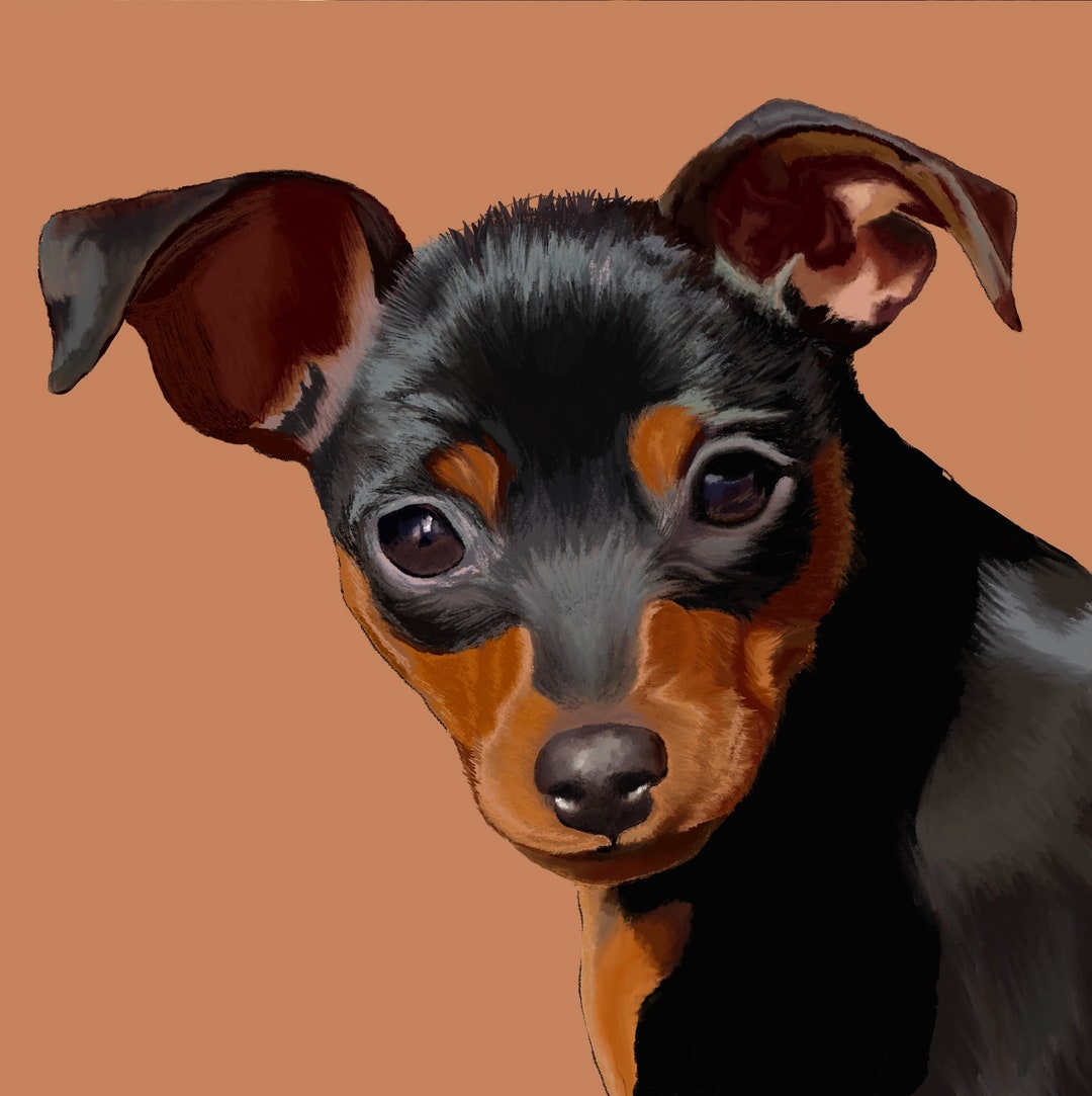 Custom Pet Portrait DEPOSIT - Portrait Using Pet Photo, Personalized ...